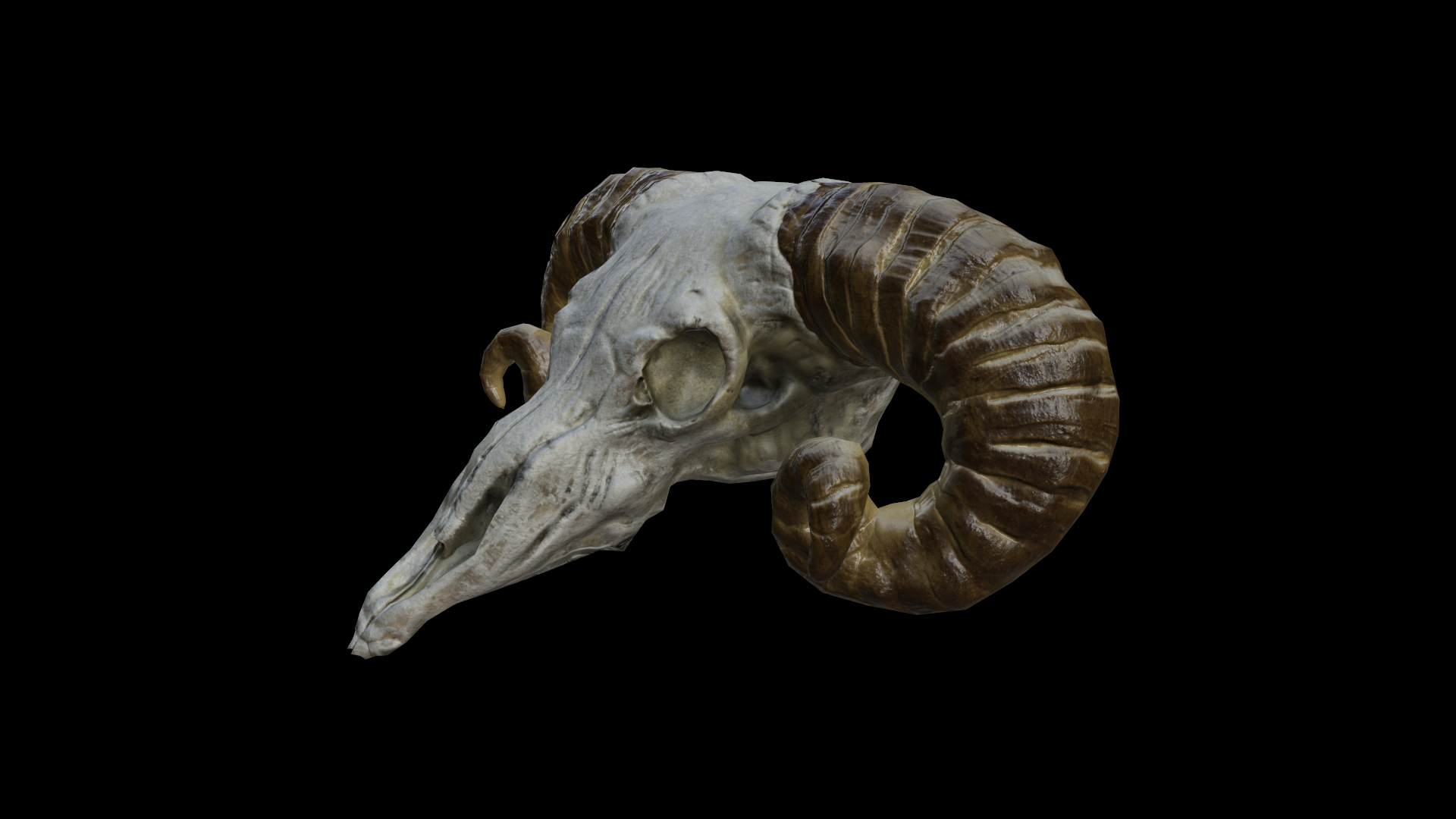 Ram Skull 3D Model - TurboSquid 1175108