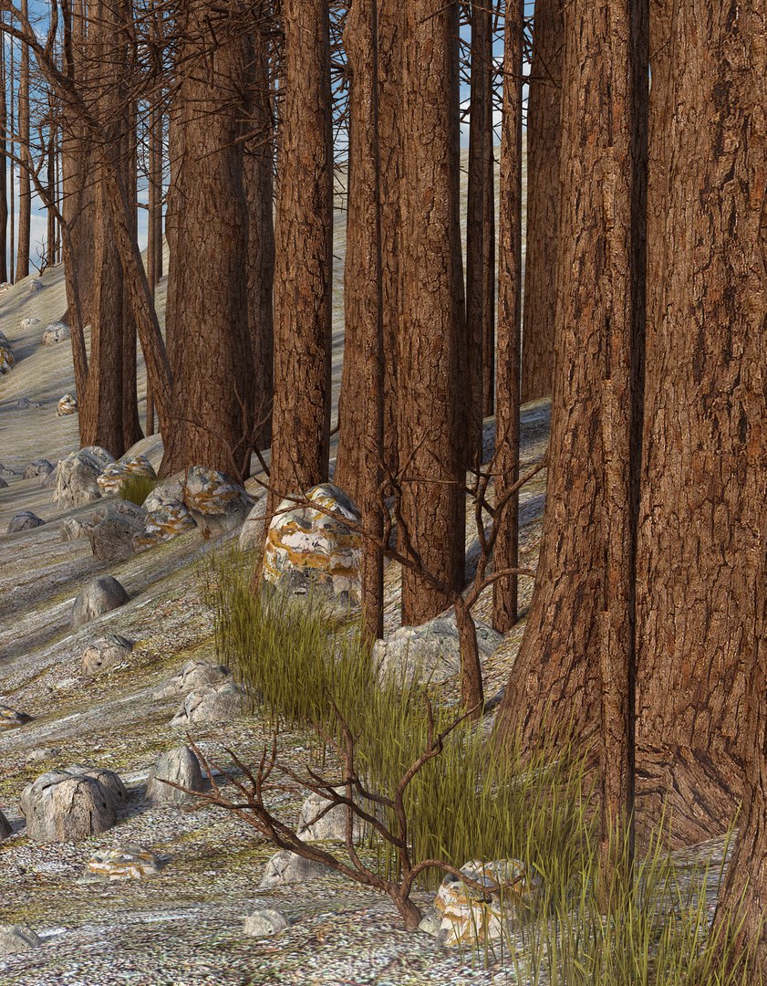 Tree Mountain Path 3D Model - TurboSquid 1239089