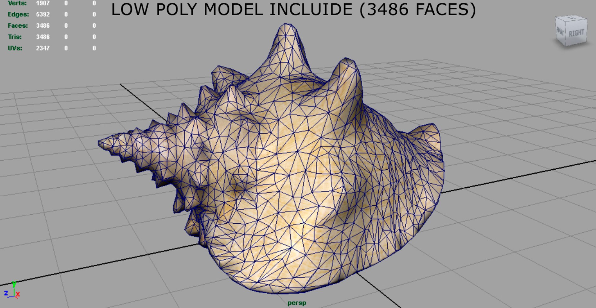 Realistic Sea Shell 3D Model - TurboSquid 1197775