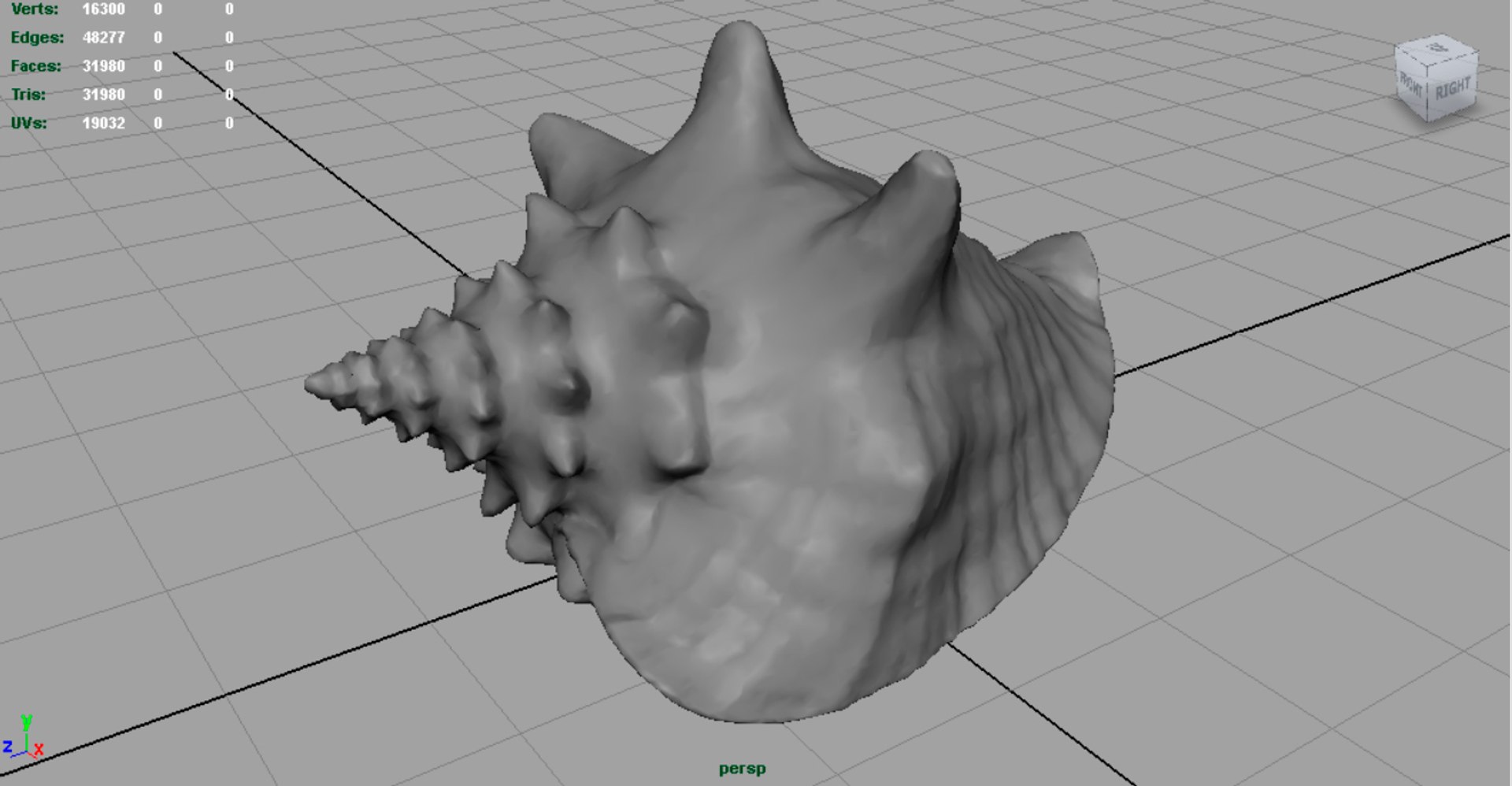 Realistic Sea Shell 3D Model - TurboSquid 1197775