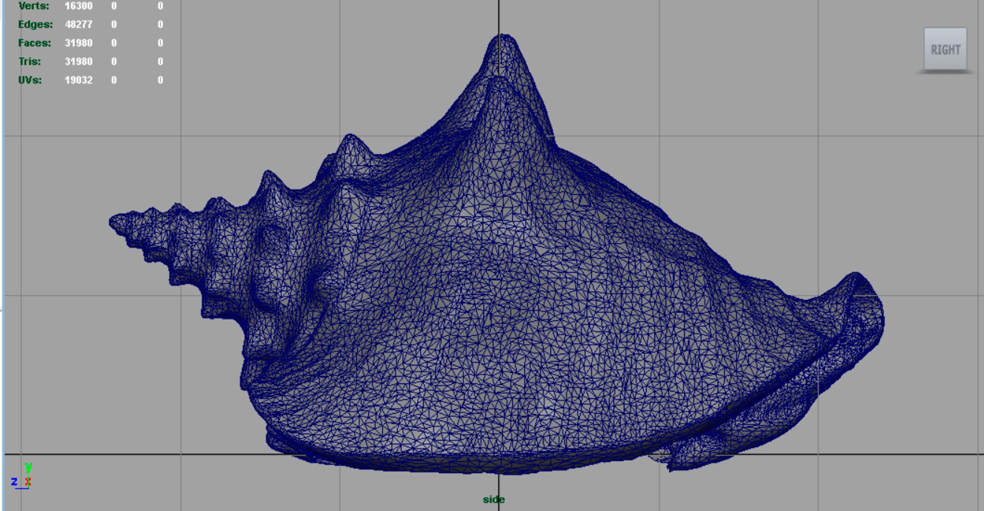 Realistic Sea Shell 3D Model - TurboSquid 1197775