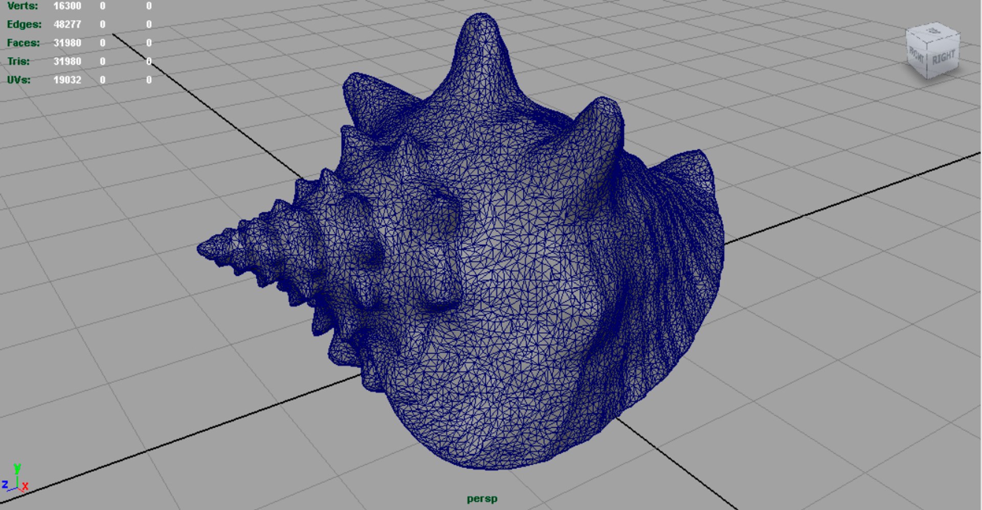 Realistic Sea Shell 3D Model - TurboSquid 1197775