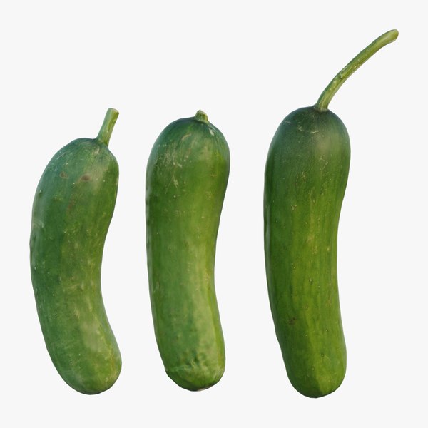 Baby Cucumber 03 model - TurboSquid 1906679