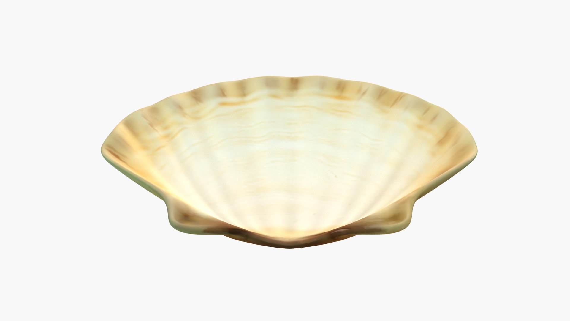 Sea Shell Half 3D Model - TurboSquid 2203877