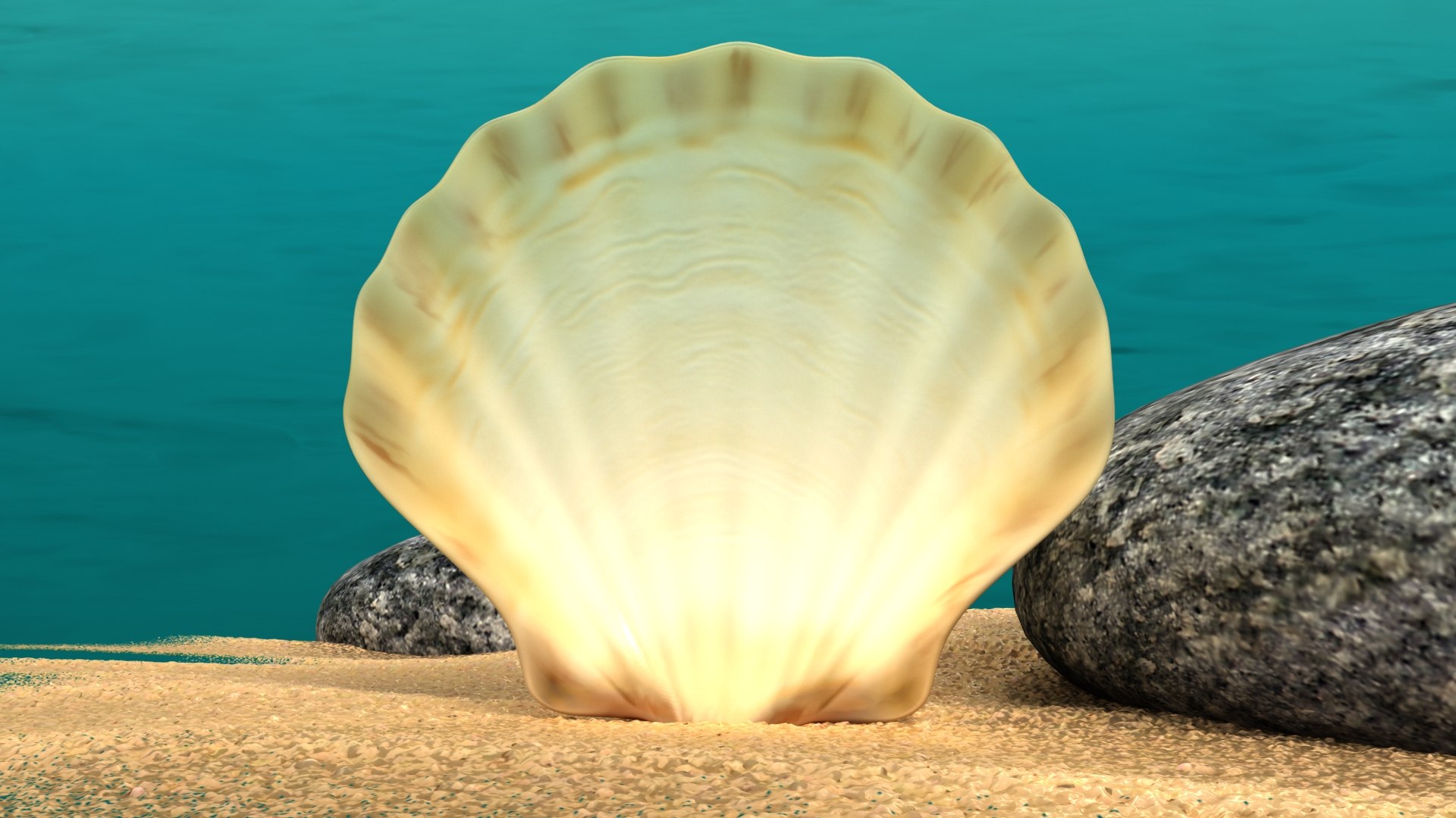 Sea Shell Half 3D Model - TurboSquid 2203877