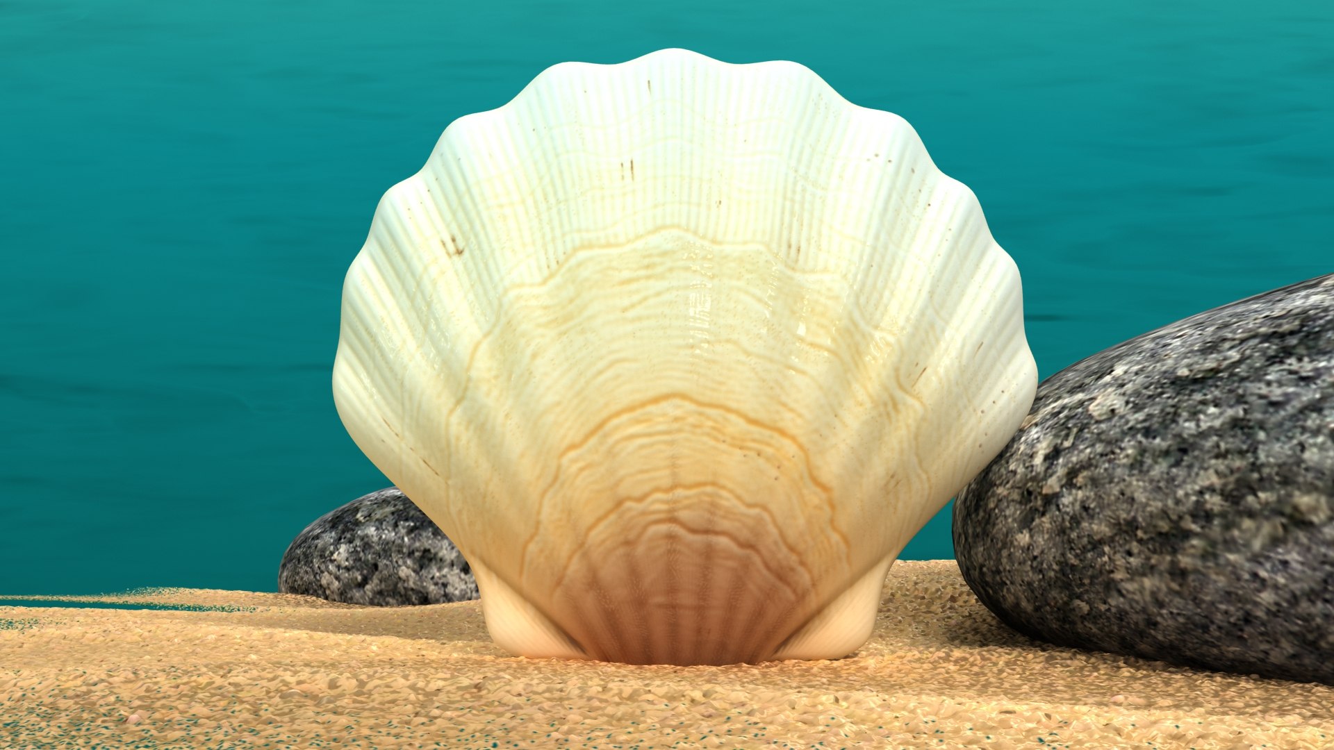 Sea Shell Half 3D Model - TurboSquid 2203877