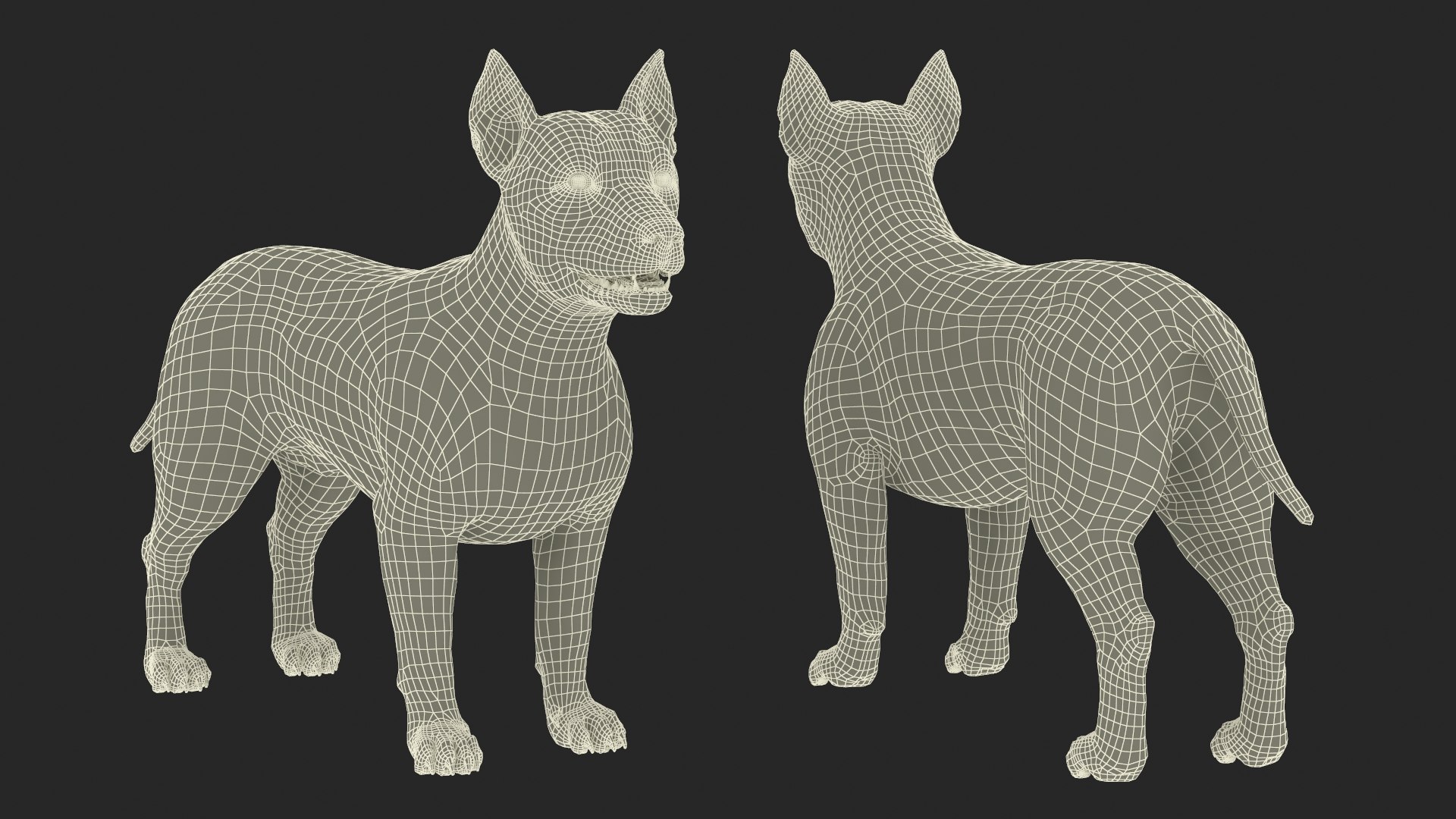3D Model West Highland White Terrier Standing Pose Fur For Maya ...