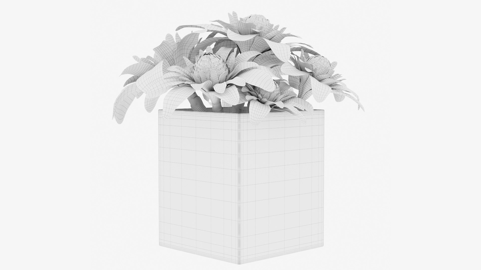 Plant 29 3D Model - TurboSquid 1994037