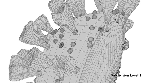 3D section novel coronavirus virus model - TurboSquid 1537192