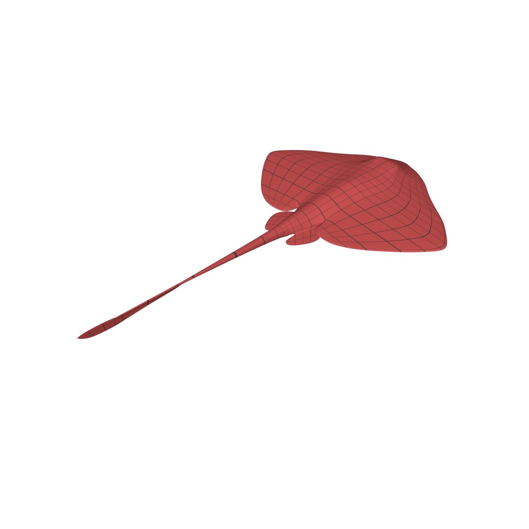 3d Model Base Mesh Stingray Fish