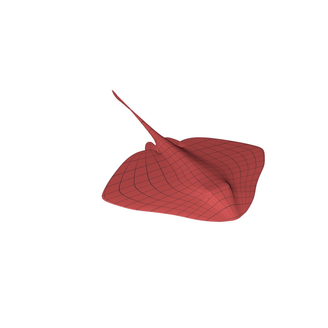 3d Model Base Mesh Stingray Fish