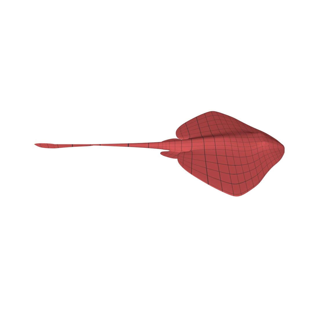 3d Model Base Mesh Stingray Fish
