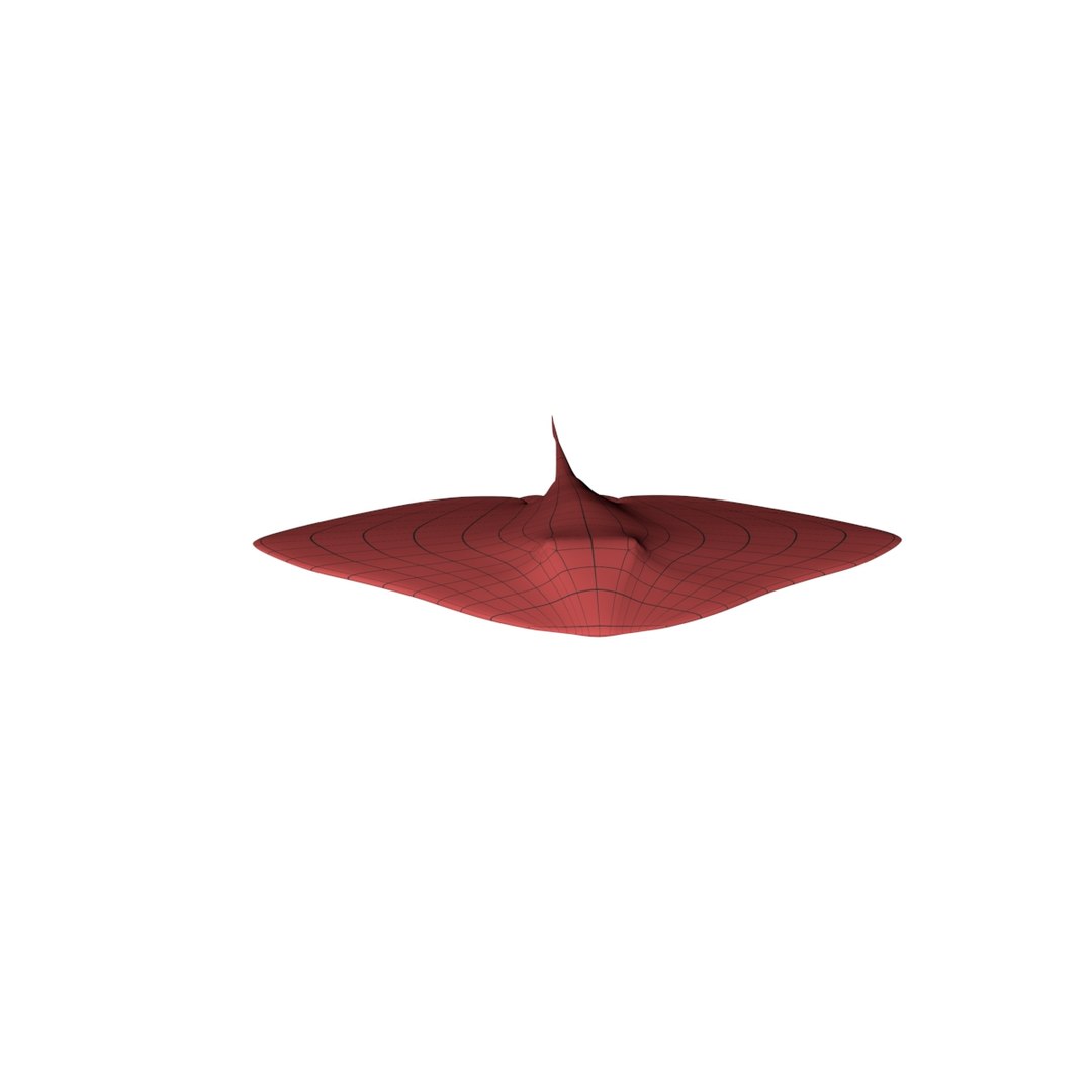 3d Model Base Mesh Stingray Fish