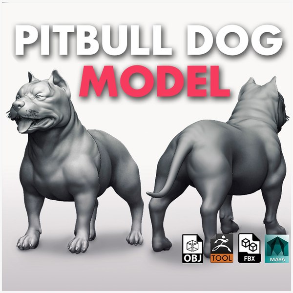 Pitbull 3D Models for Download | TurboSquid