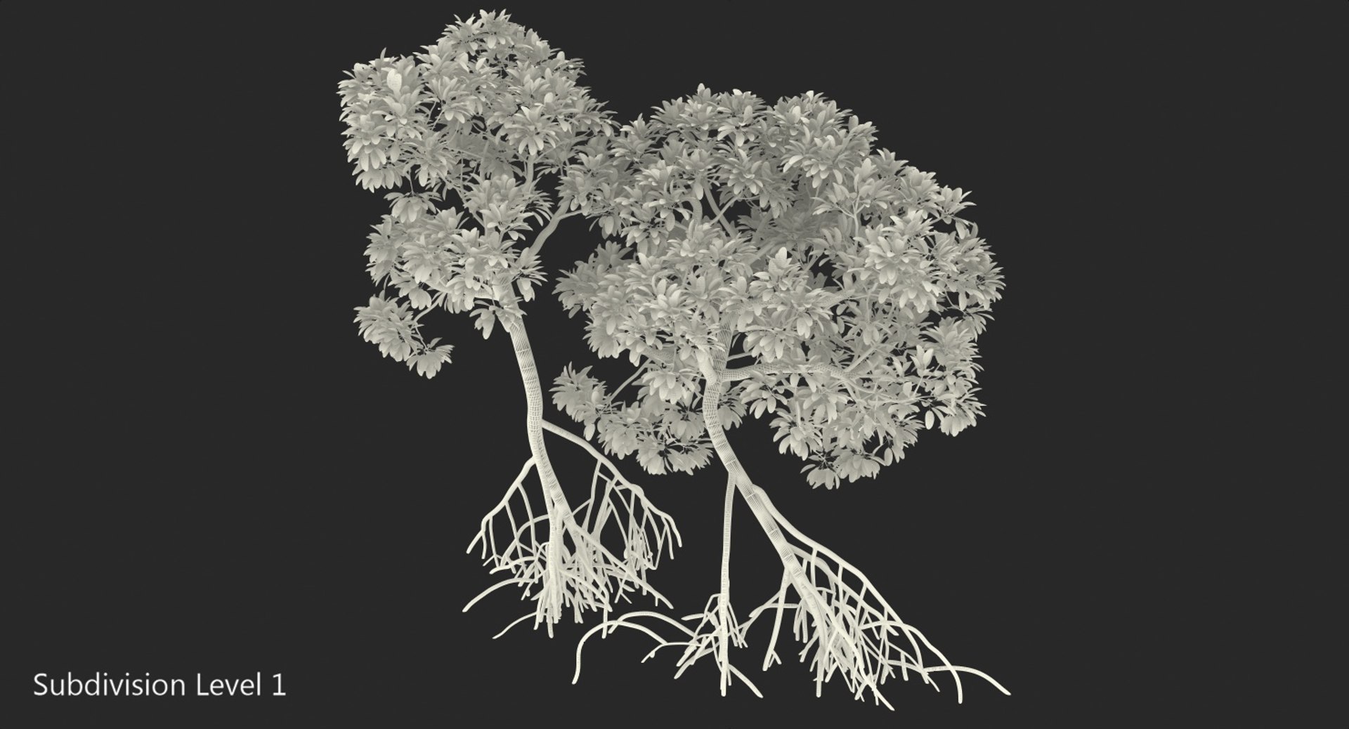 3D Mangrove Trees Model - TurboSquid 1400534