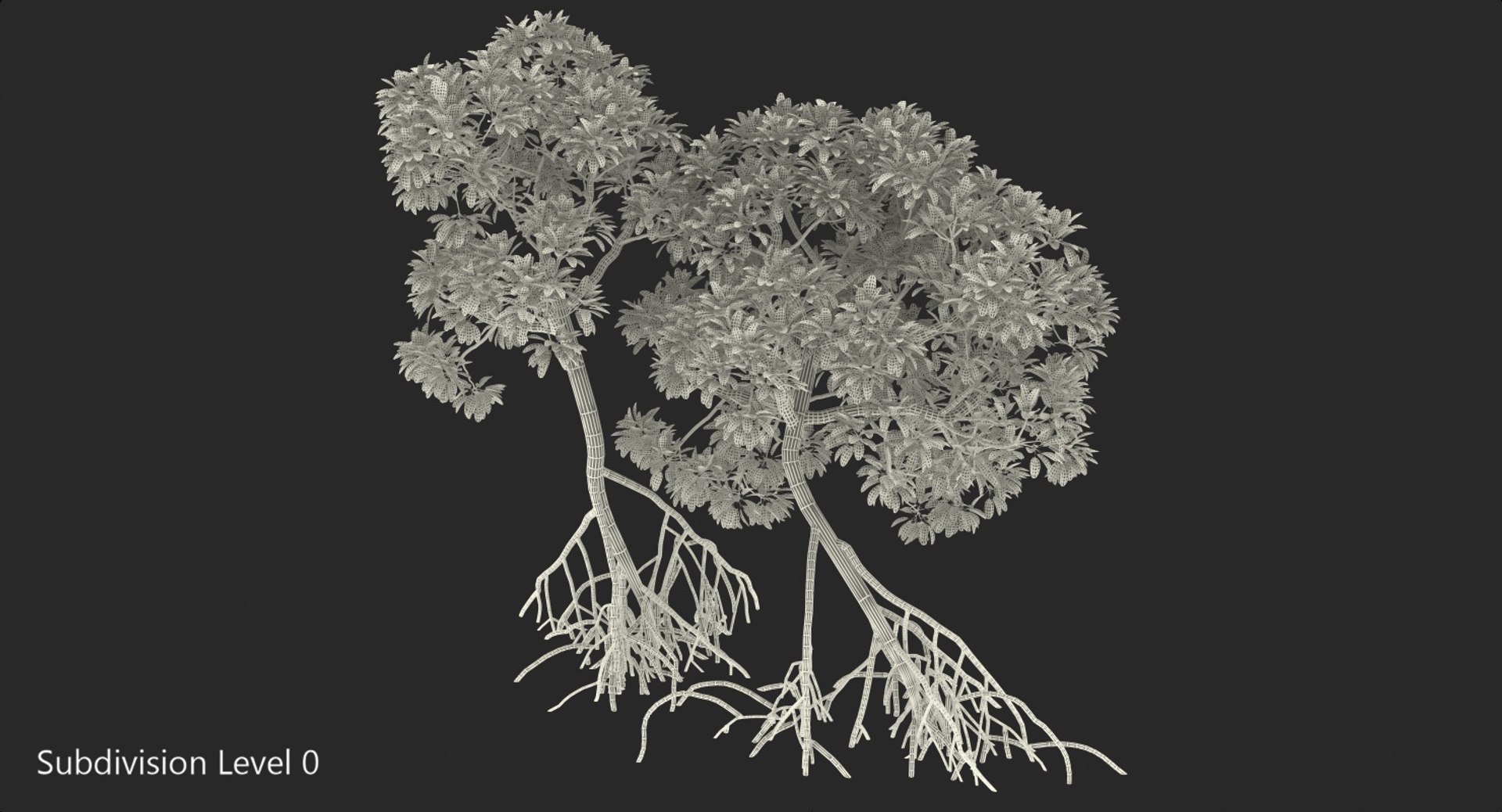 3D mangrove trees model - TurboSquid 1400534