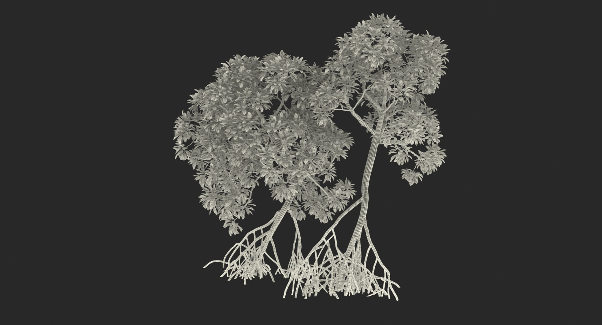 3D Mangrove Trees Model - TurboSquid 1400534