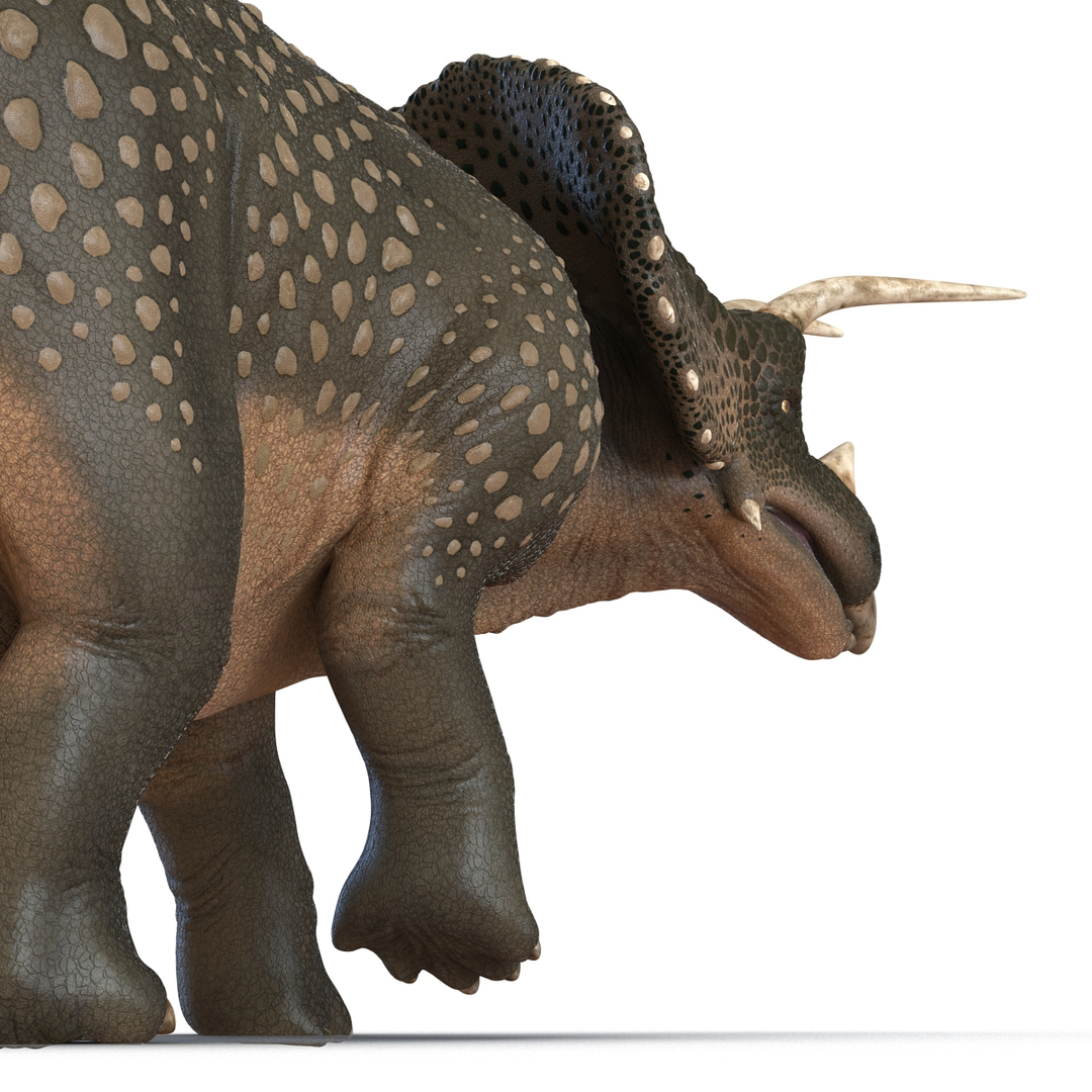 triceratops pose 3 3d max