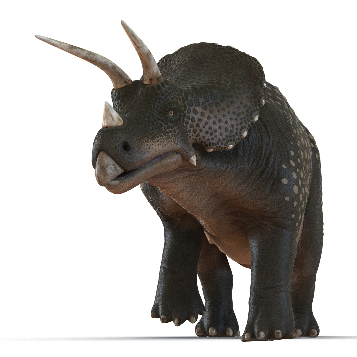 triceratops pose 3 3d max