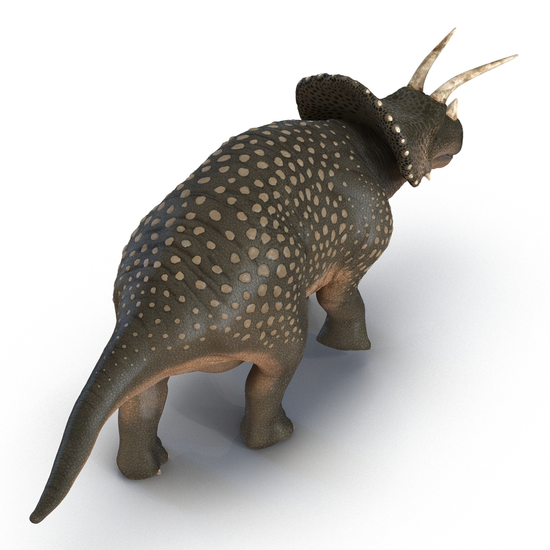 triceratops pose 3 3d max