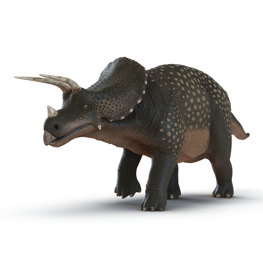 triceratops pose 3 3d max