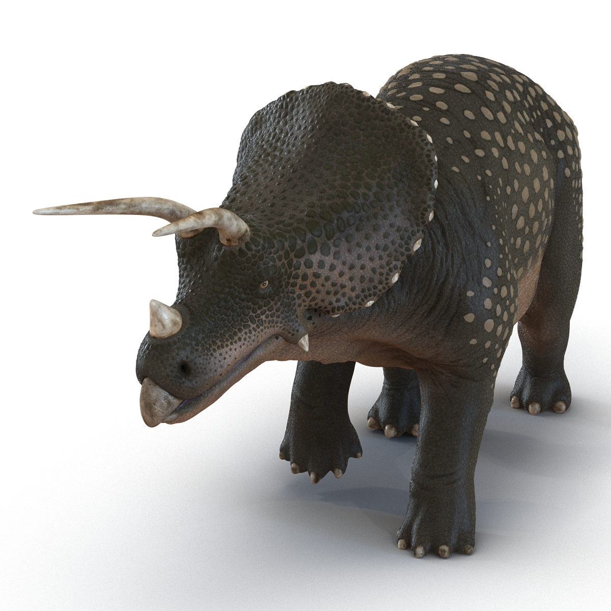 triceratops pose 3 3d max