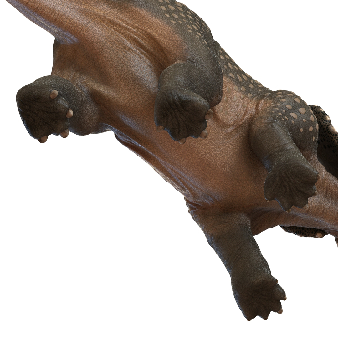 triceratops pose 3 3d max