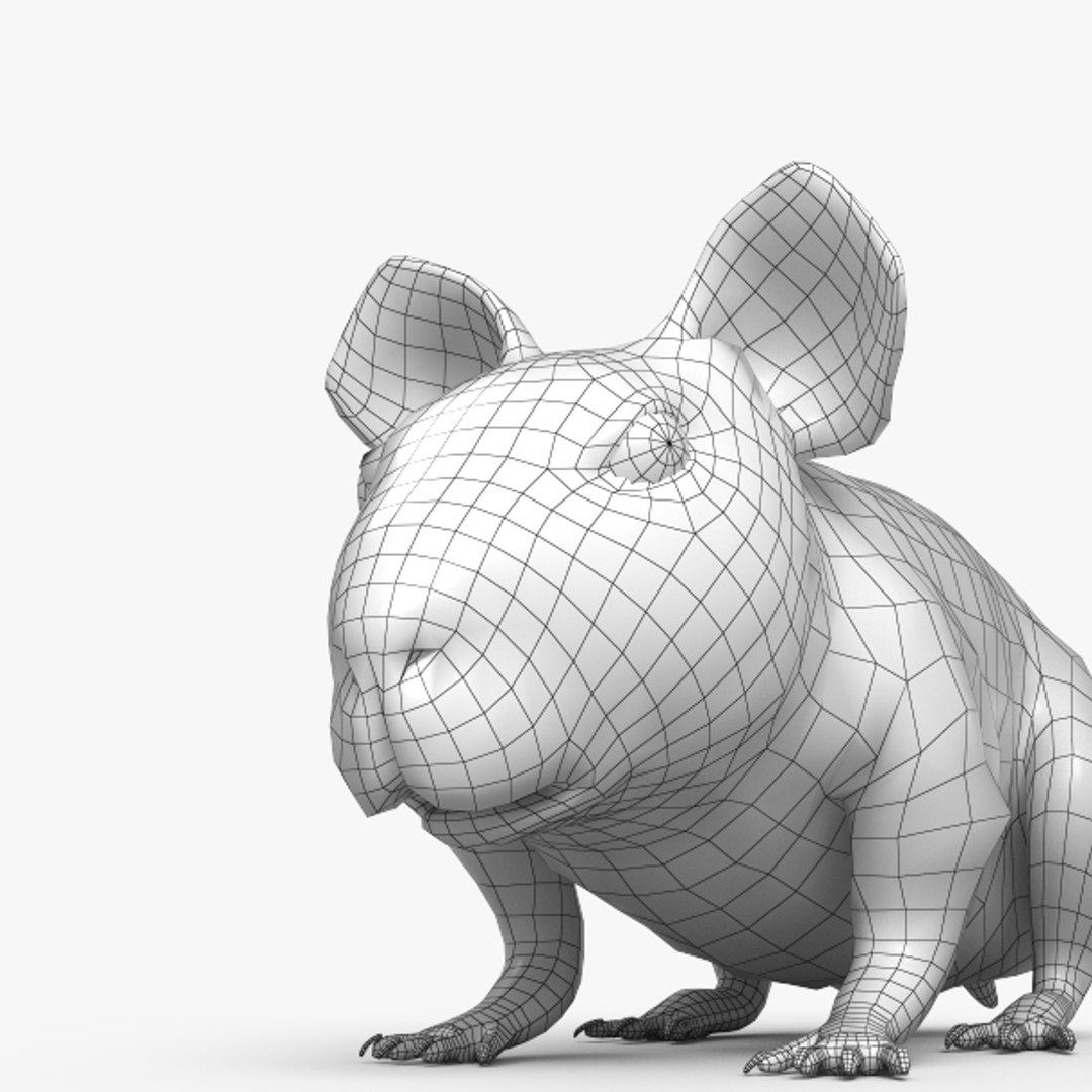 3D guinea pig model - TurboSquid 1506702