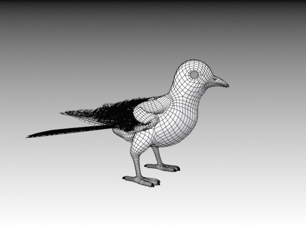 3d white eared bulbul rigged bird model