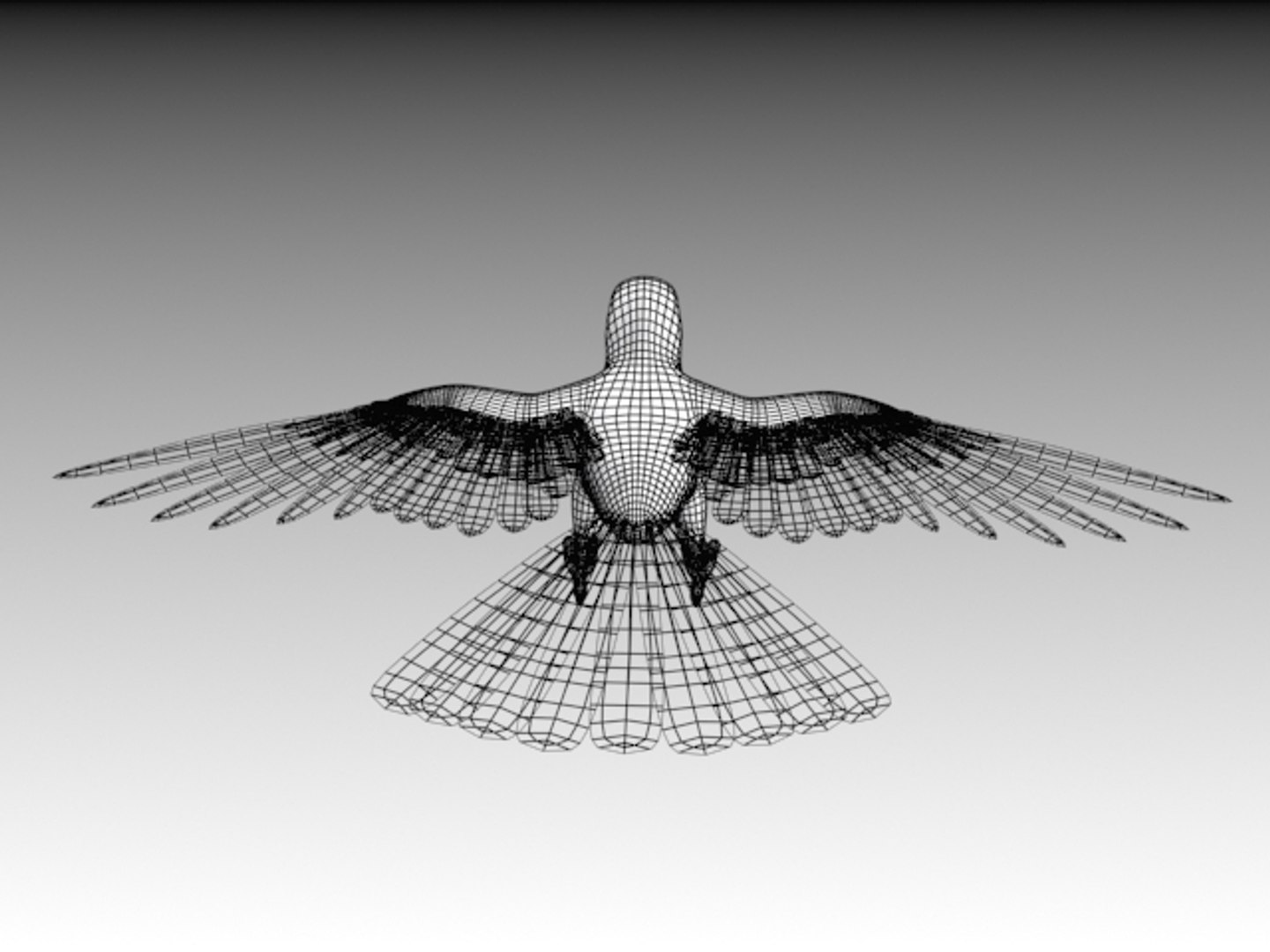 3d White Eared Bulbul Rigged Bird Model