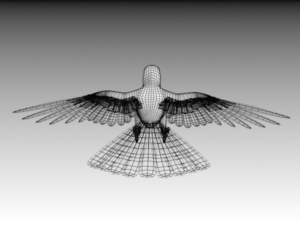 3d white eared bulbul rigged bird model