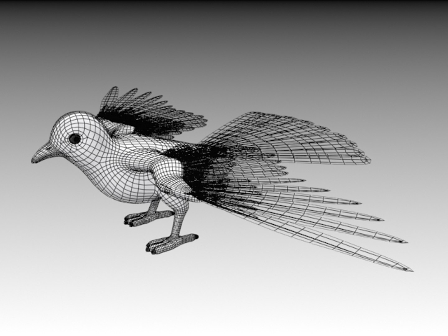 3d White Eared Bulbul Rigged Bird Model