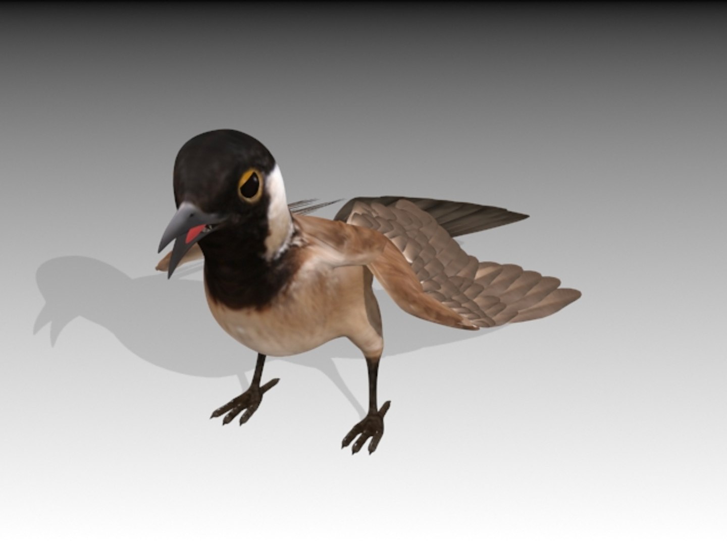 3d White Eared Bulbul Rigged Bird Model