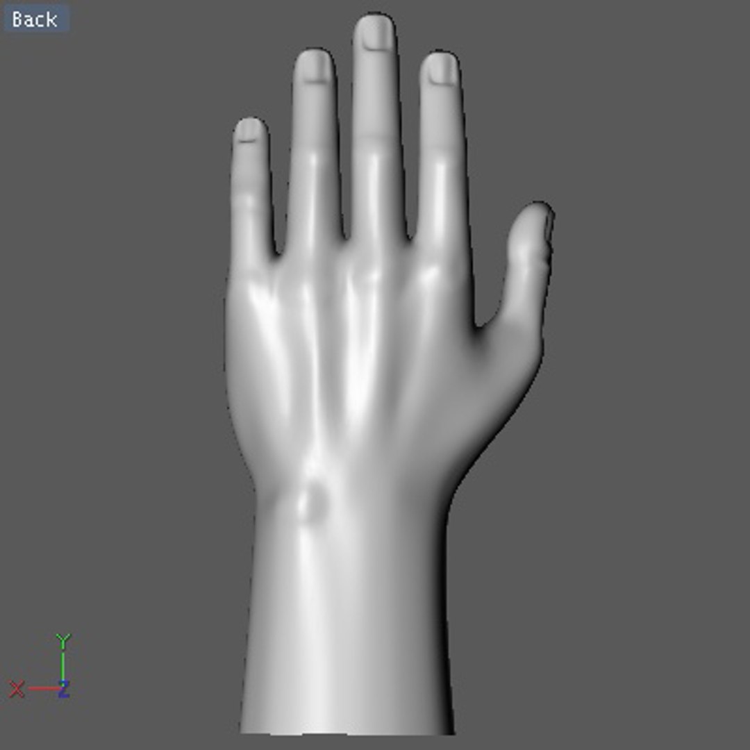 3ds Max Hand Materials