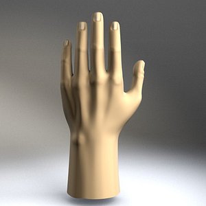 Anatomy 3D Models for Download | TurboSquid
