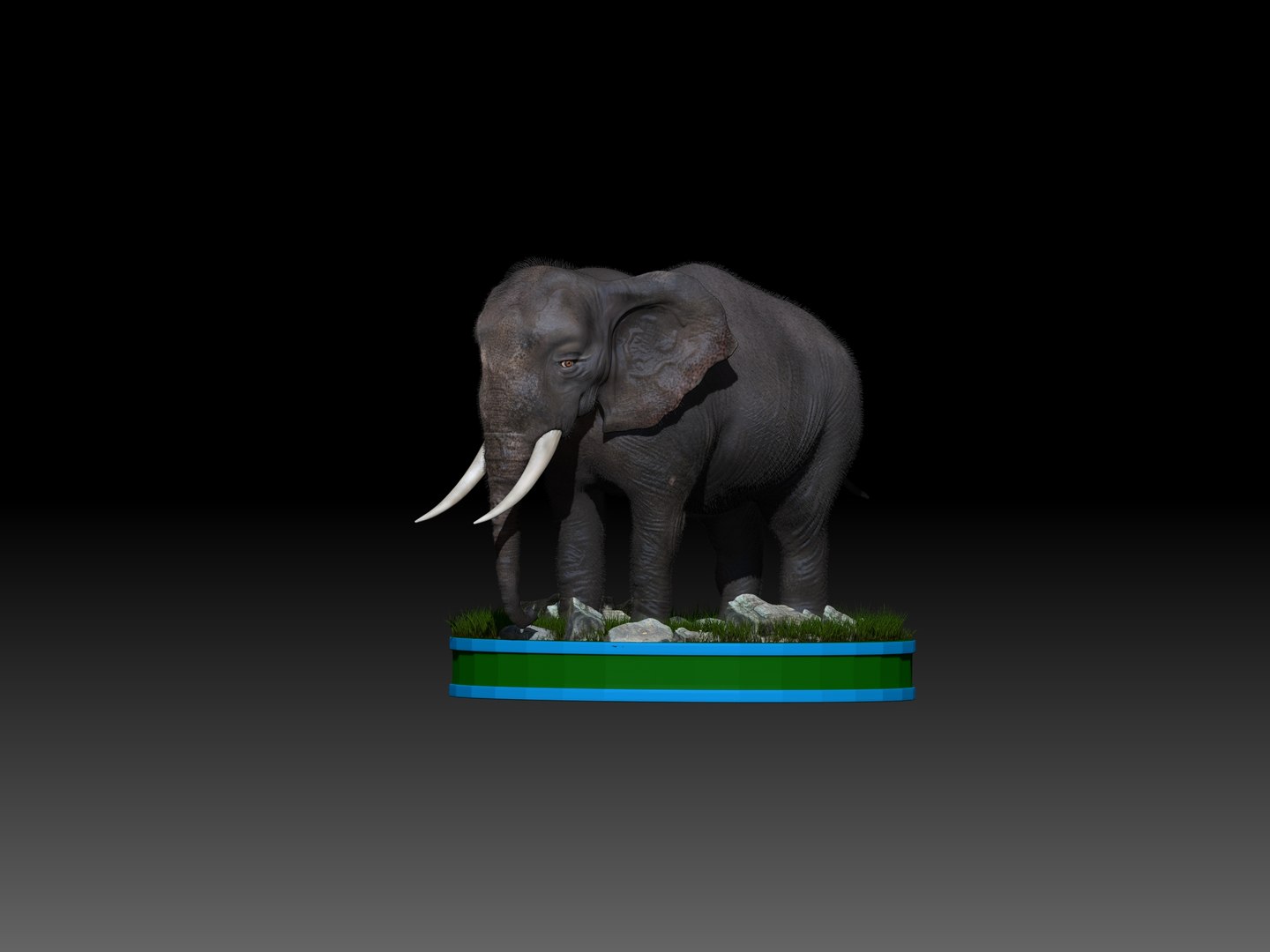 3D Elephant Rig - TurboSquid 1298964