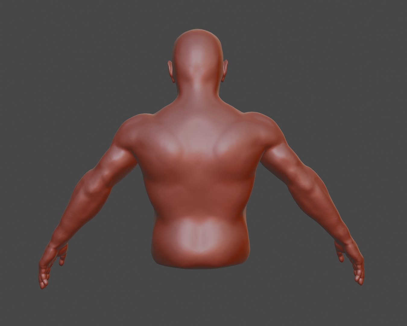 3D Male Torso Base Mesh - TurboSquid 1544760