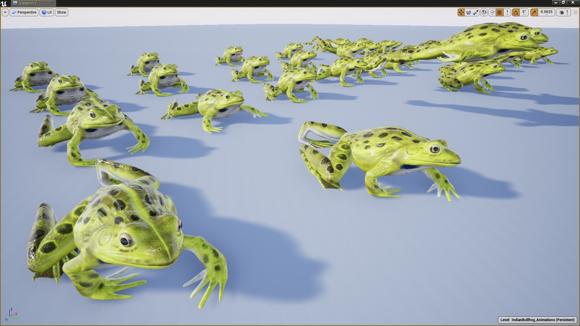 3D Model Indian Bullfrog - Animated - TurboSquid 1767340
