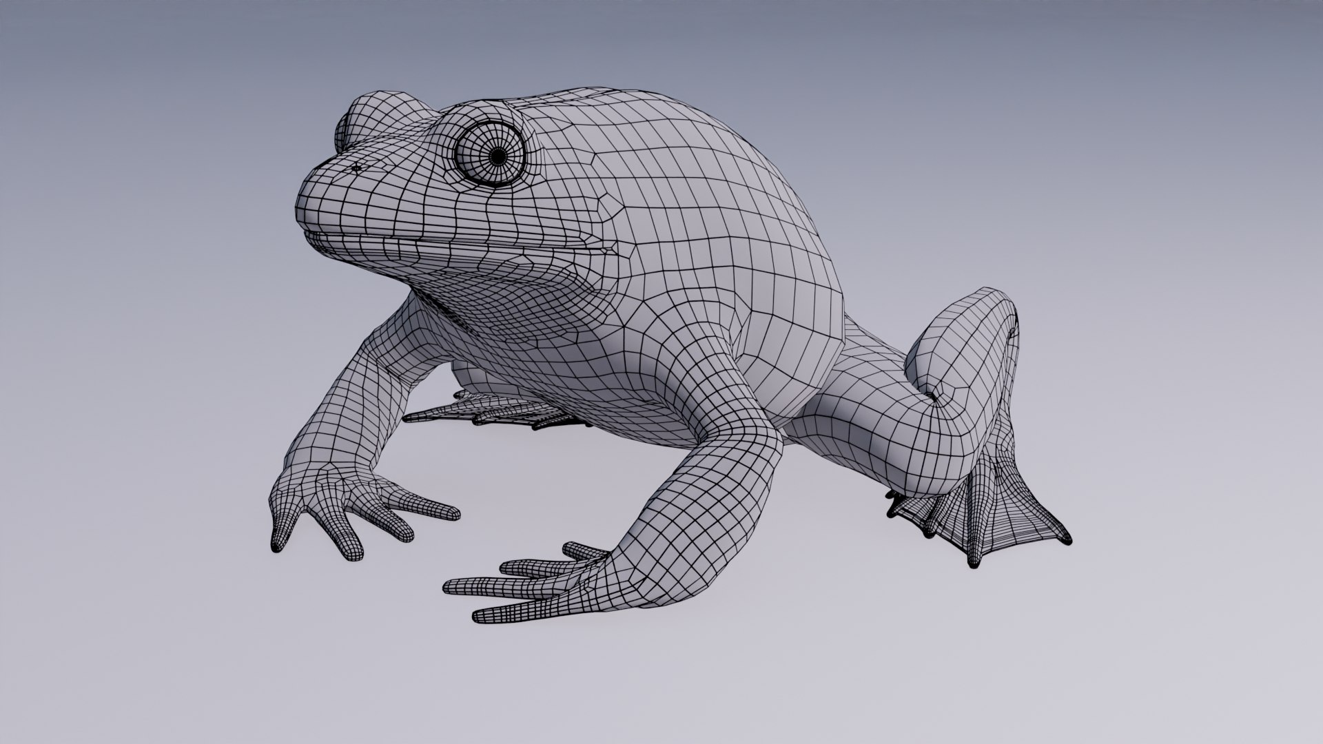 3D Model Indian Bullfrog - Animated - TurboSquid 1767340