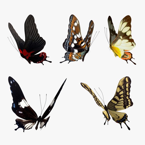Monarch Butterfly 3ds Max Models for Download | TurboSquid