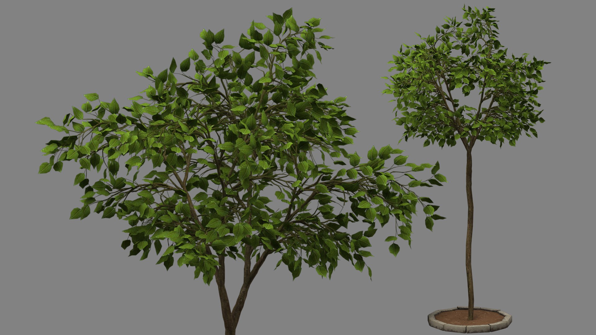 3D Tree High-poly Textured - TurboSquid 2345267