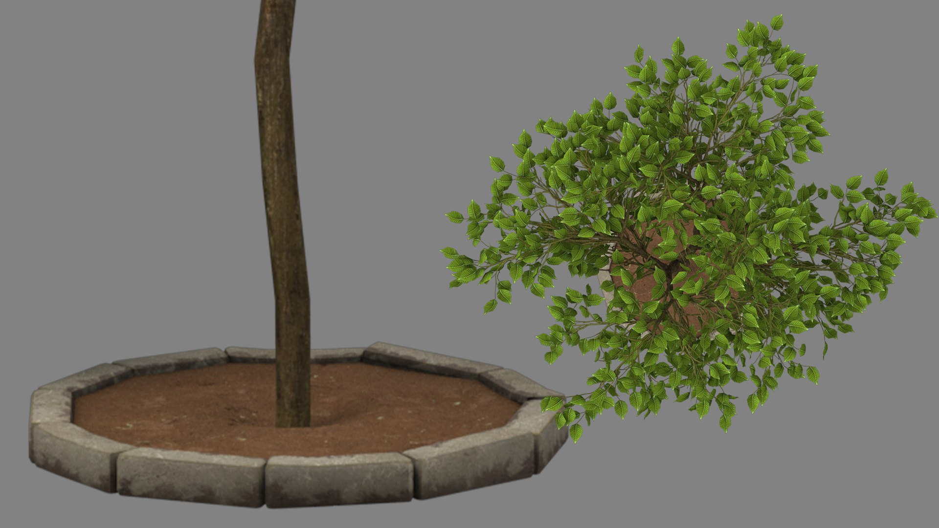 3D Tree High-poly Textured - TurboSquid 2345267