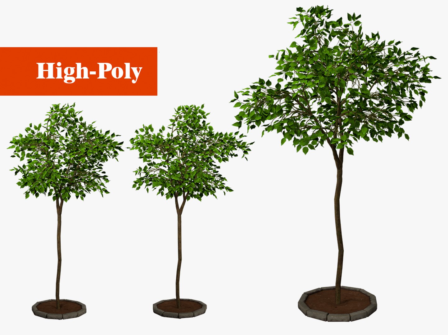 3D Tree High-poly Textured - TurboSquid 2345267