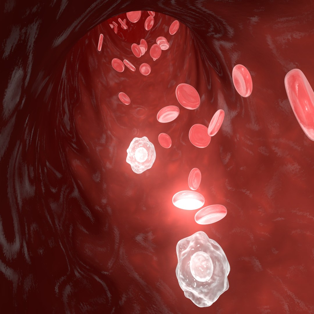 Turbulent Blood Flow C4d