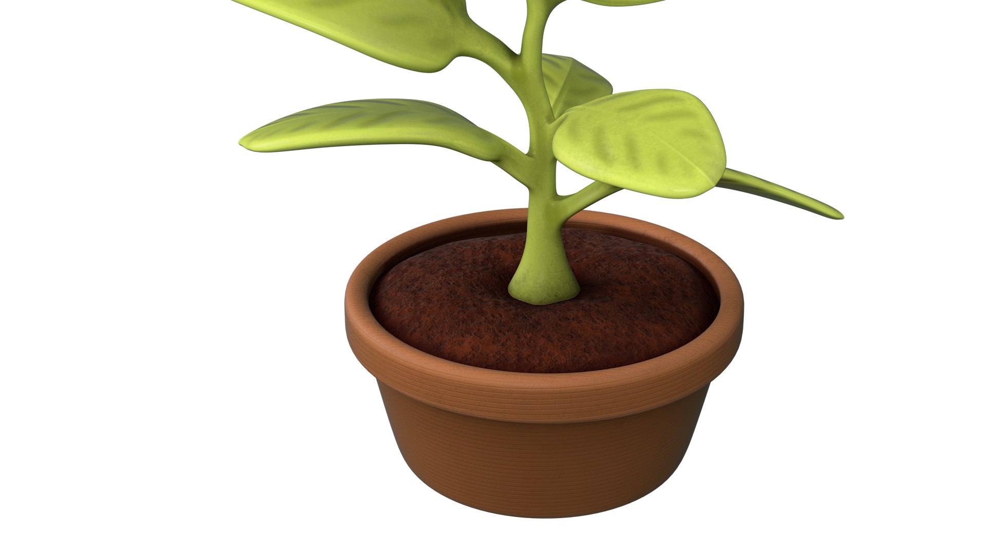 Cartoon Plant 3D model - TurboSquid 2132047