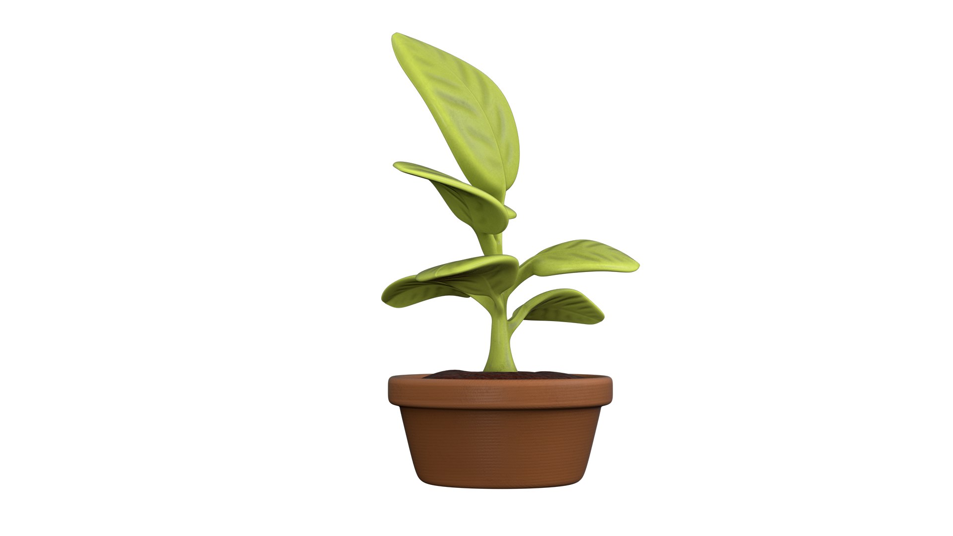 Cartoon Plant 3D model - TurboSquid 2132047