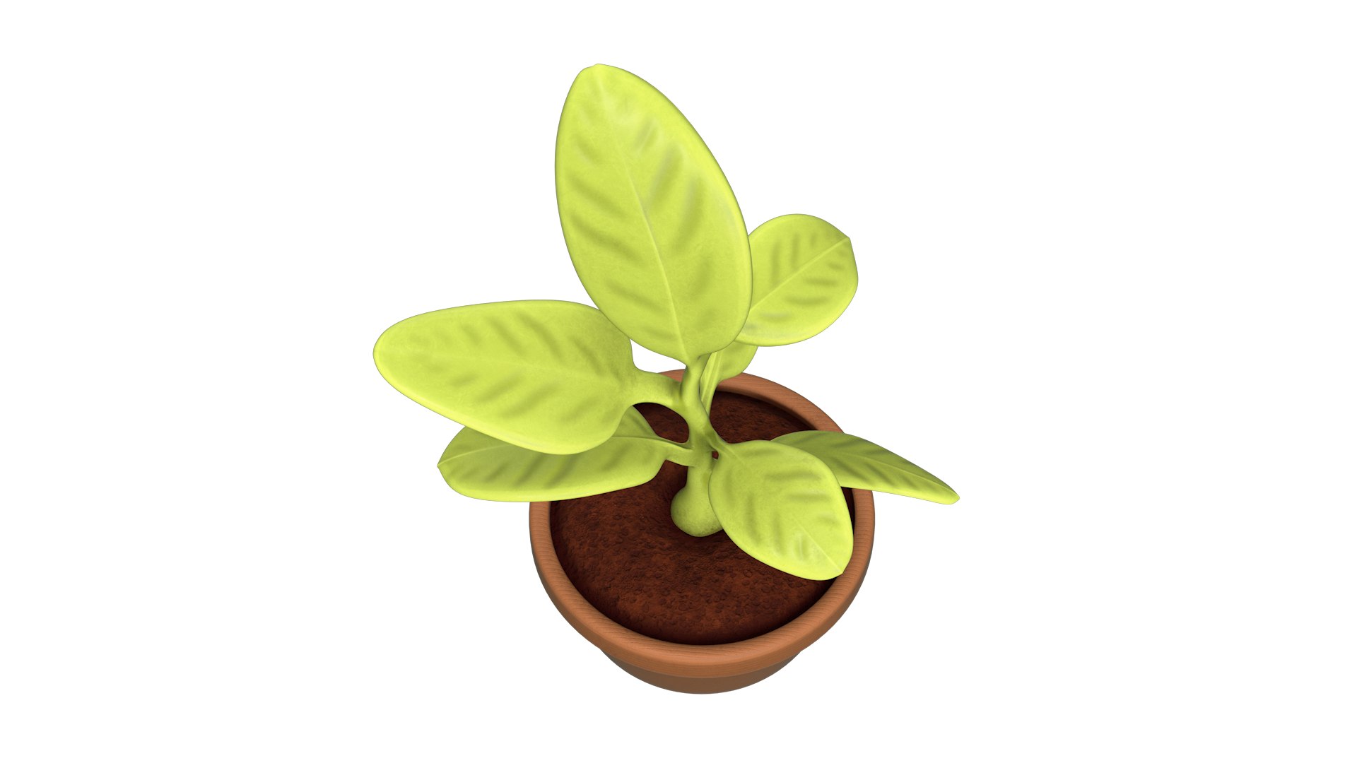 Cartoon Plant 3D model - TurboSquid 2132047