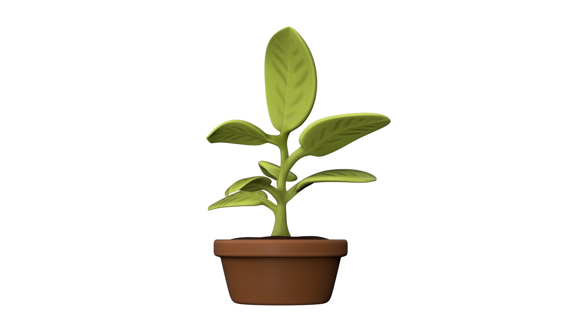 Cartoon Plant 3D model - TurboSquid 2132047