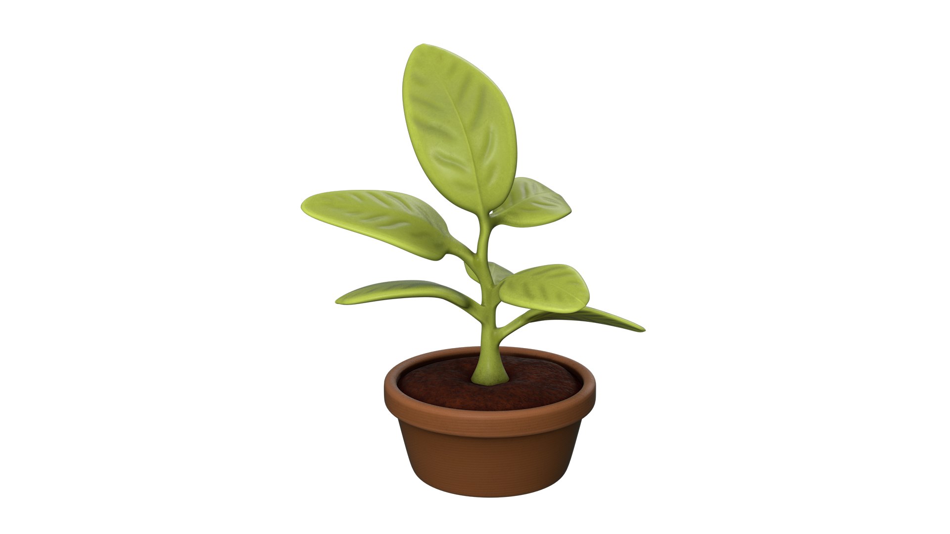 Cartoon Plant 3D model - TurboSquid 2132047