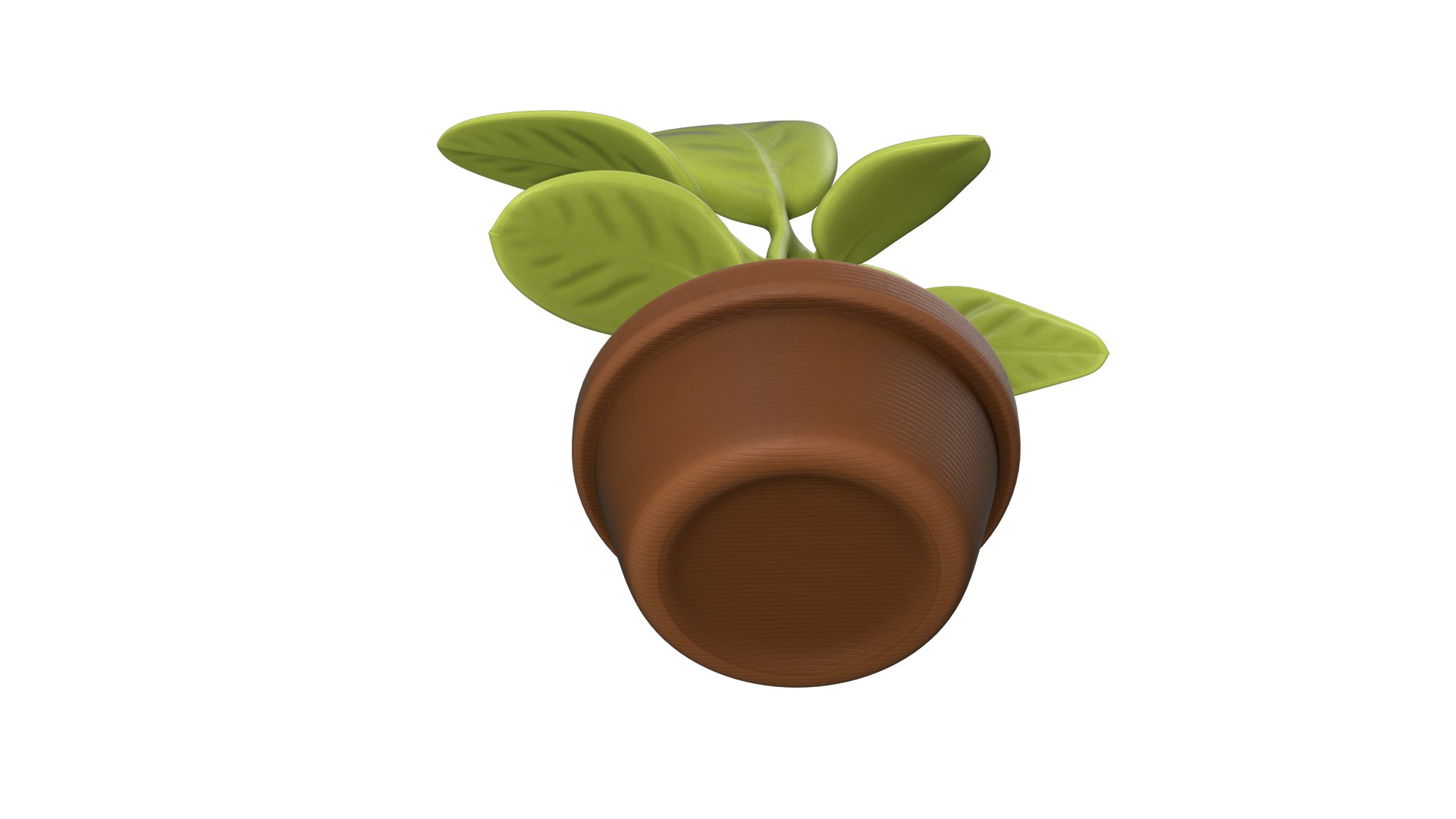 Cartoon Plant 3D model - TurboSquid 2132047